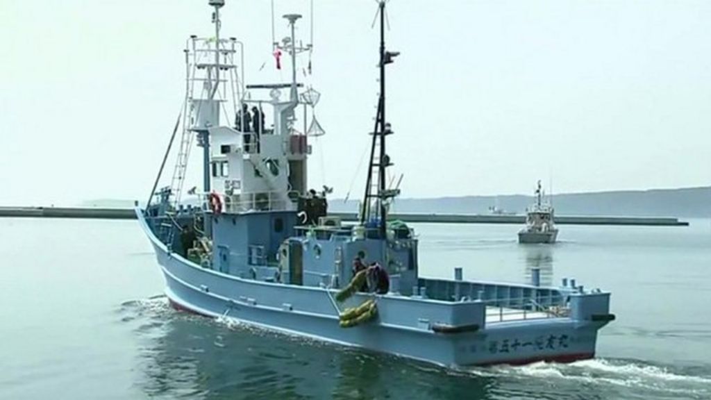 Japanese whaling ships start their annual spring hunt - BBC News