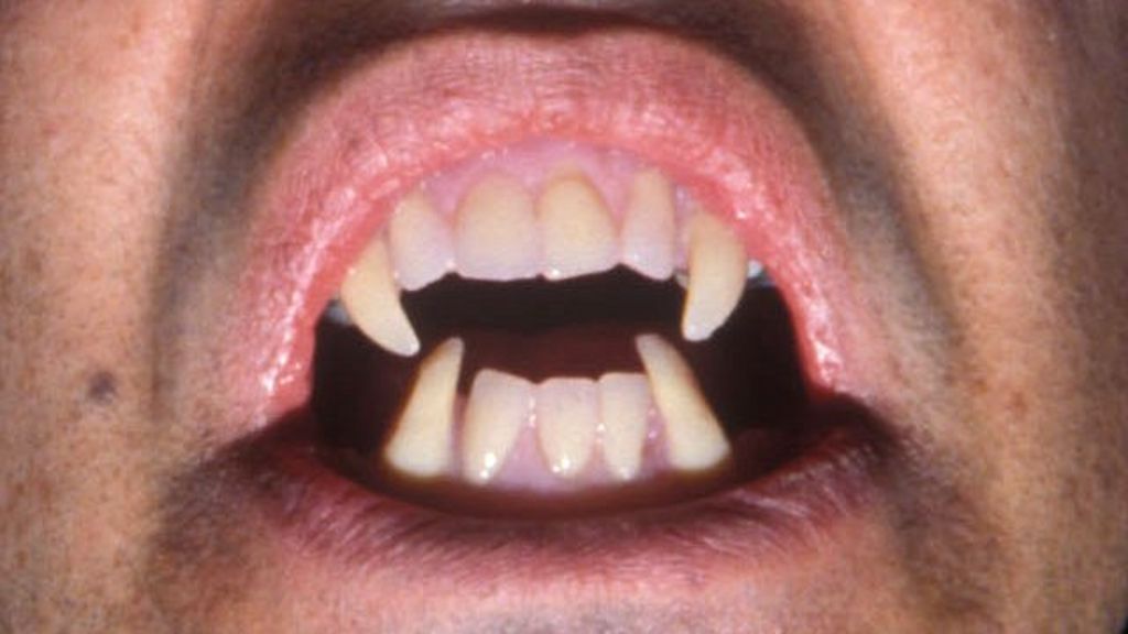 'Real vampires exist' says Glyndwr University lecturer - BBC News