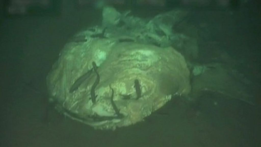 Deep-sea 'graveyard' filmed off Angola coast - BBC News