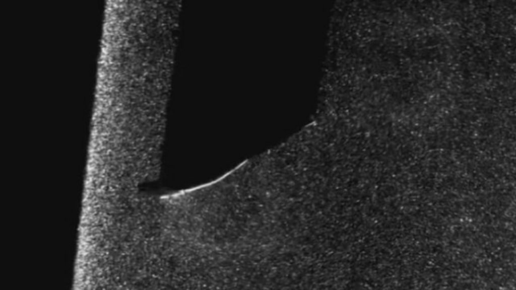 3D printer makes artificial shark skin - BBC News