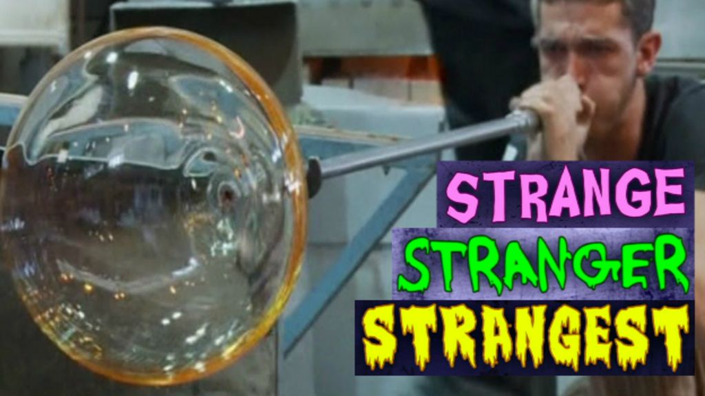 The week's weirdest news stories - BBC Newsround