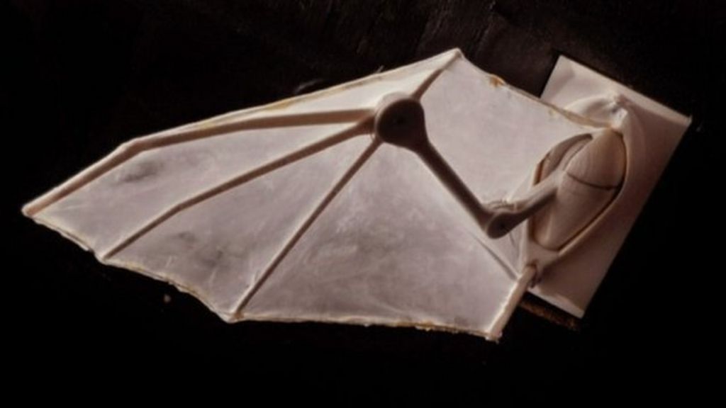 Robo bat-wing reveals flight secrets - BBC News