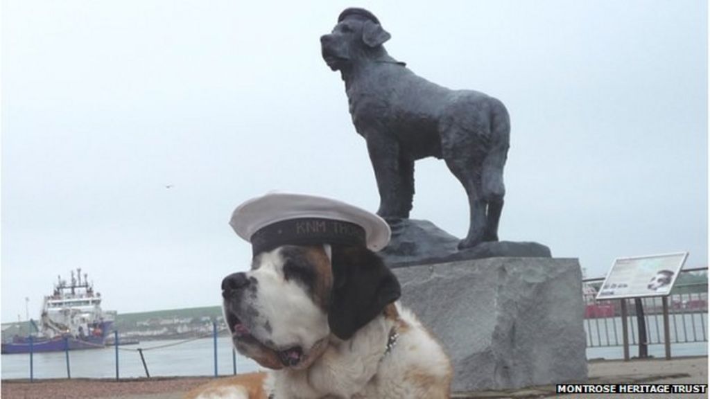Norwegian ship to honour hero sea dog Bamse in Montrose - BBC News