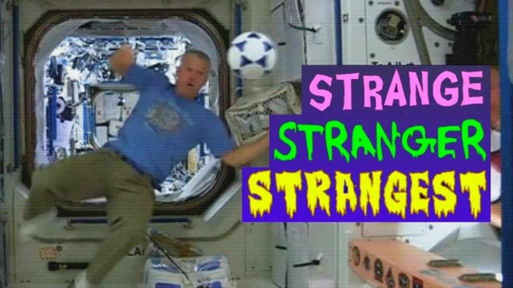 The strangest World Cup news - BBC Newsround