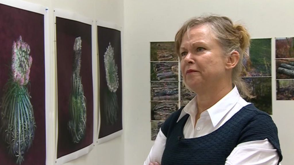 Venice Biennale art show: Helen Sear to represent Wales - BBC News