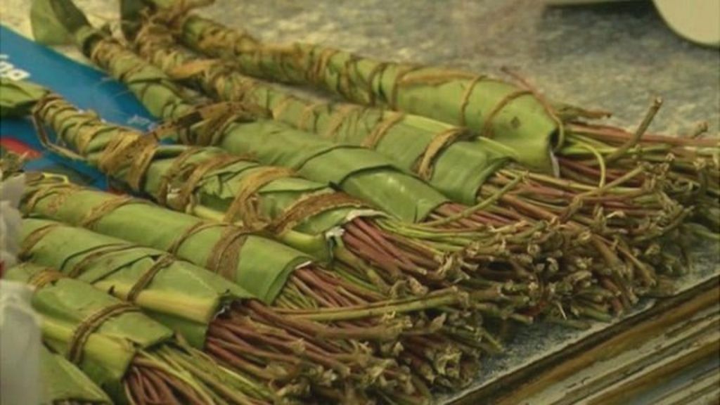 Stimulant Khat Banned As Illegal Class C Drug In Uk Bbc News 