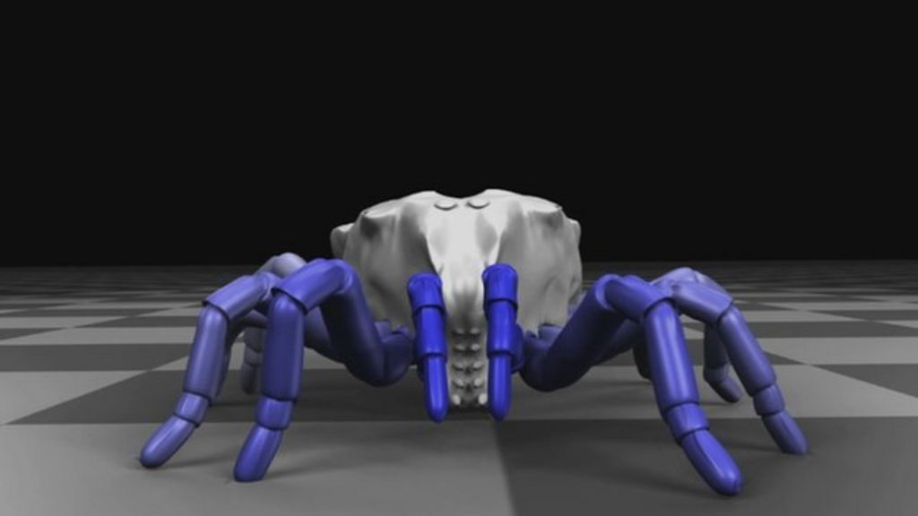 Ancient arachnid 'walks again' with computer graphics - BBC News