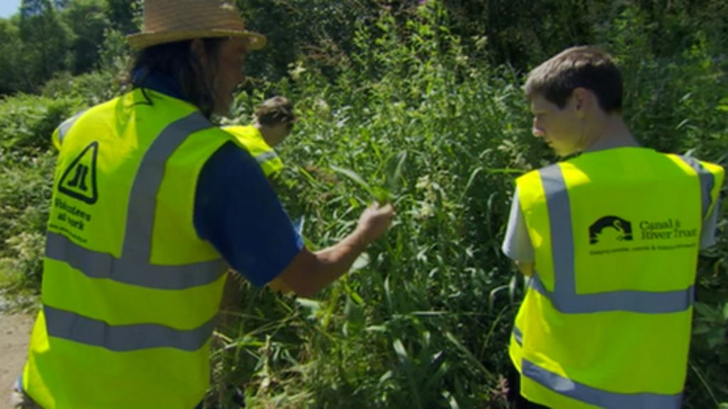 Rural skills for young unemployed in Staffordshire - BBC News
