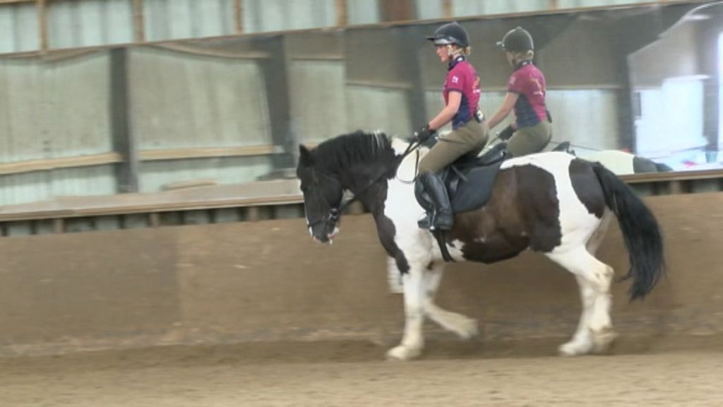 Paralysed Cornwall horse rider Suzanna Hext defies injury - BBC News