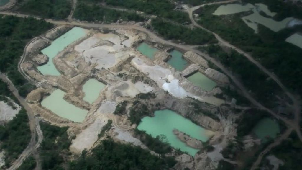 Surge in illegal gold mining destroys vast areas of the Amazon - BBC News
