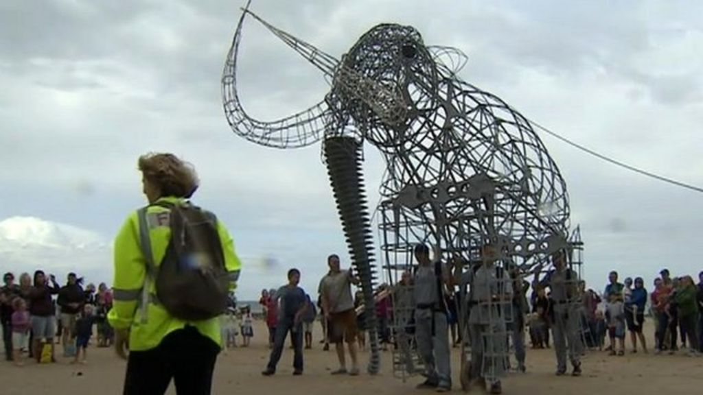 West Runton 'mammoth walks on Norfolk coast' - BBC News