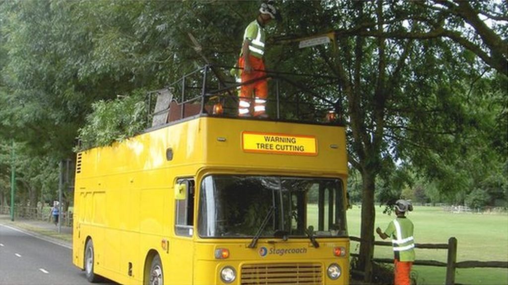 Double-decker bus used to cut trees in West Sussex - BBC News