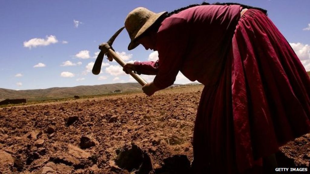 UNDP: Poverty down in Latin America and the Caribbean - BBC News