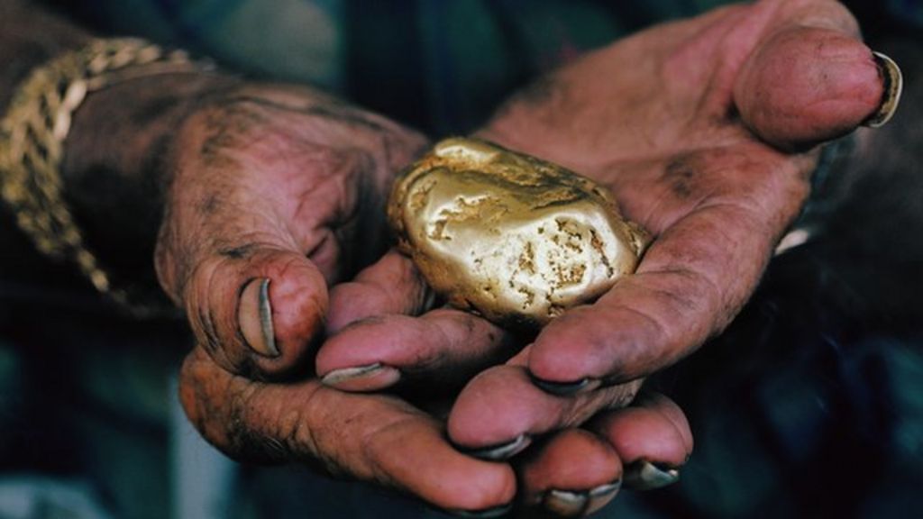 Hoping to strike gold in the California wilderness - BBC News