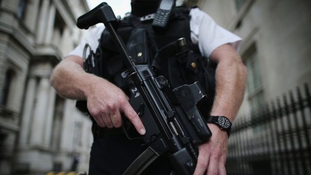 Returning UK jihadis 'could help prevent radicalisation' - BBC News