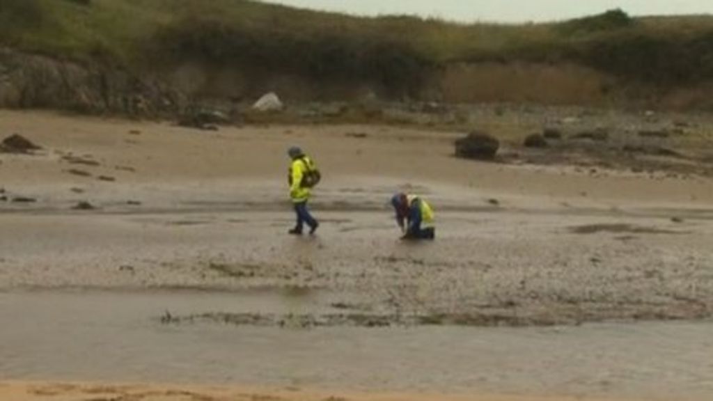 Anglesey sea search continues for missing Isaac Nash, 12 - BBC News