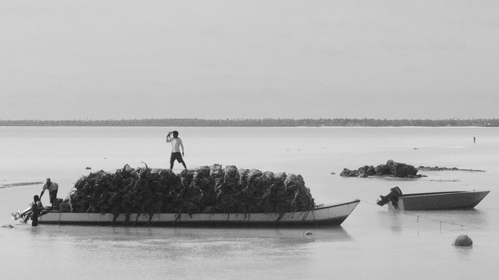 The vanishing islands of Kiribati - BBC News