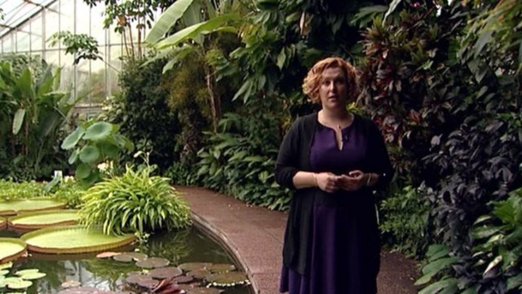 Scottish independence: Better Together's Ruth McKay on indyref - BBC News