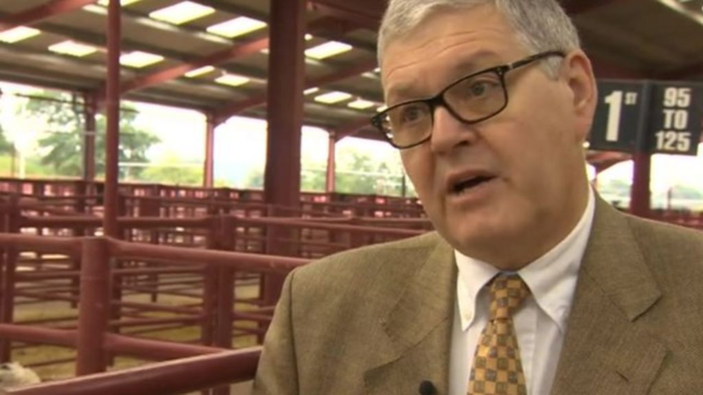Scottish Referendum: Views from the Cumbria border - BBC News