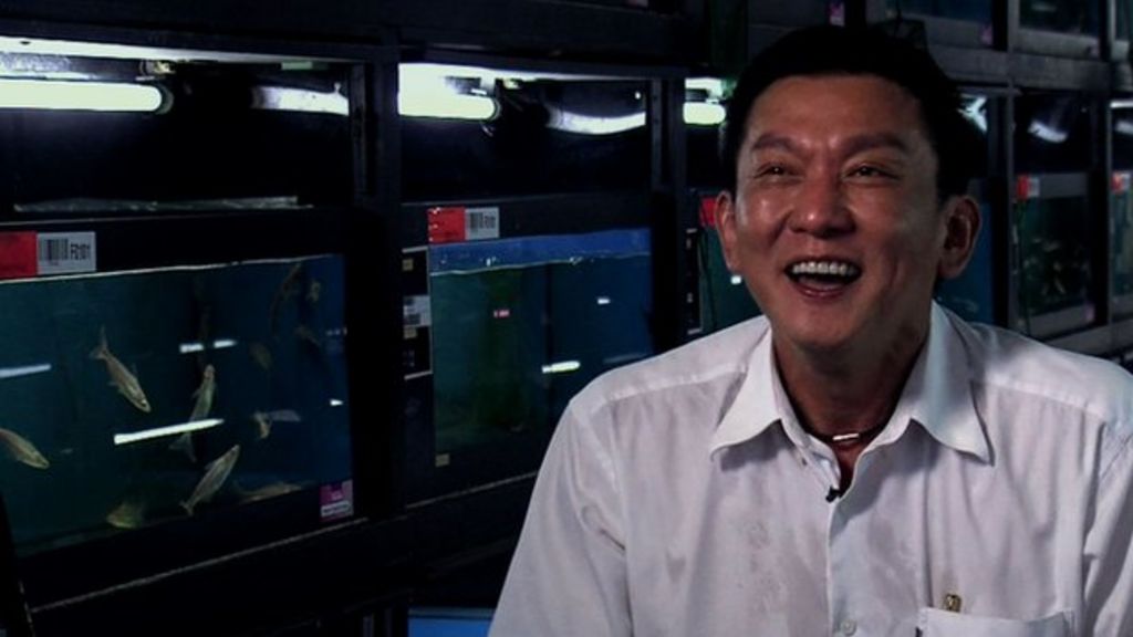 'Kenny the Fish' is swimming to the top - BBC News