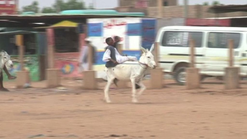Sudan: Donkeys provide an old-fashioned solution - BBC News