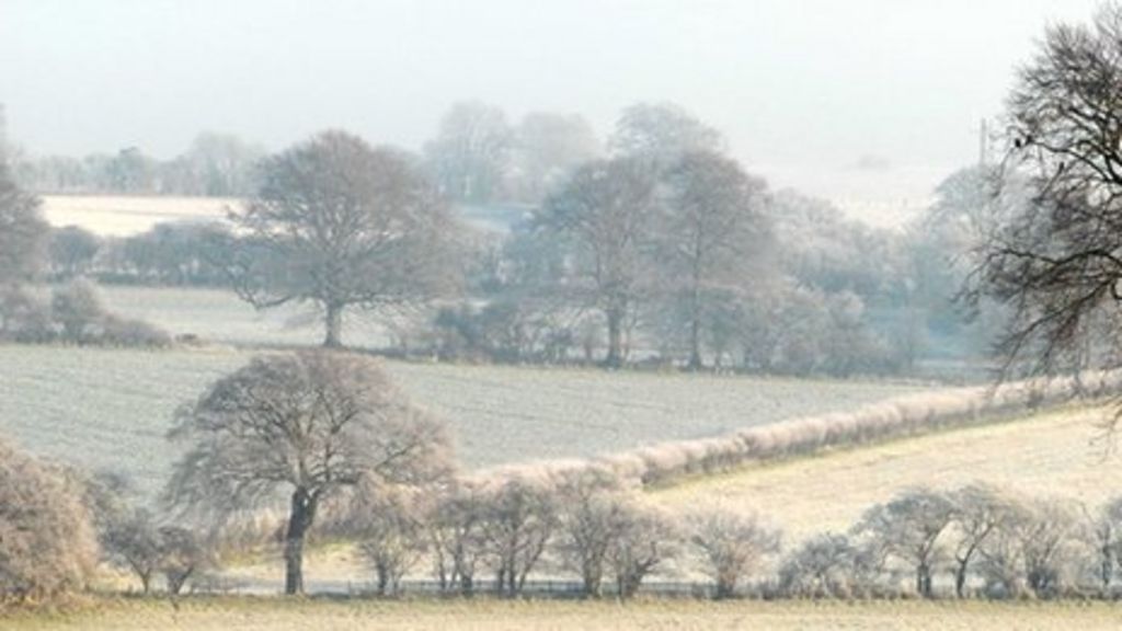 Frost - BBC Weather