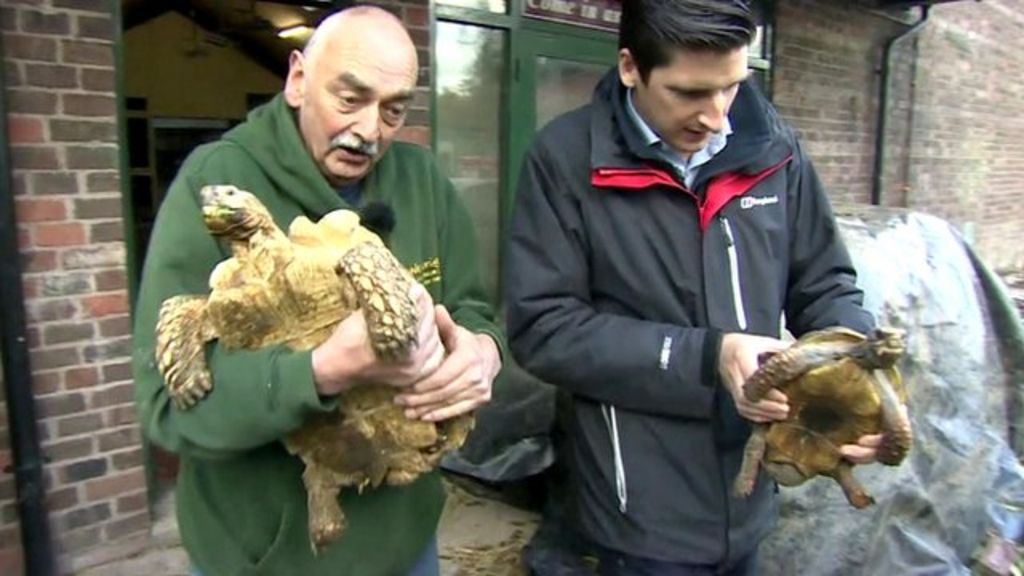Wetheriggs rescue centre moves 1,700 animals to new home - BBC News