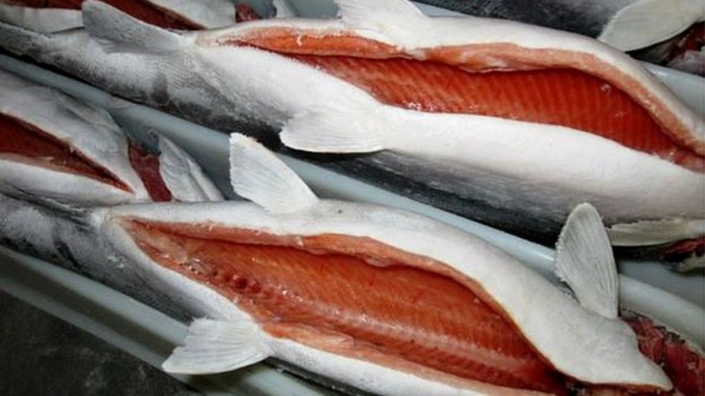 Trout farming in land-locked Lesotho is an export success - BBC News