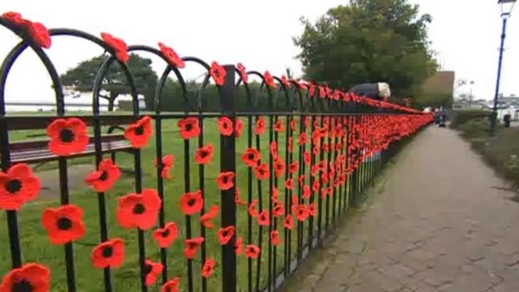Hythe displays 4,000 knitted poppies for Remembrance Day - BBC News