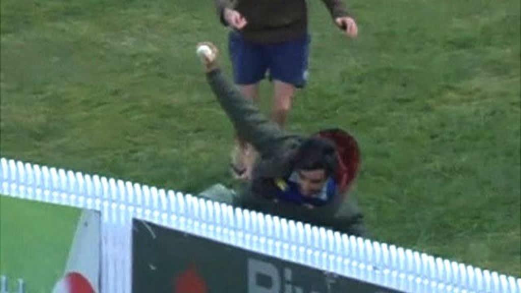 Cricket: Spectator takes amazing catch in New Zealand - BBC Sport