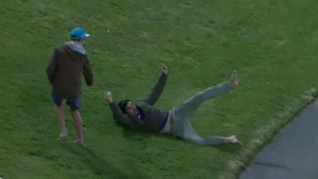 Cricket: Spectator takes amazing catch in New Zealand - BBC Newsround