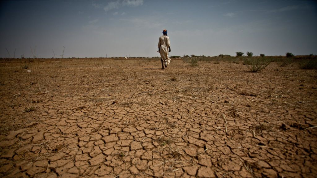 African soil crisis threatens food security, says study - BBC News