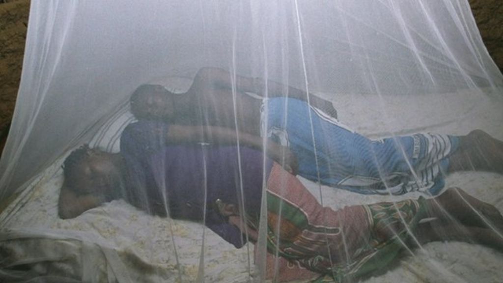 Malaria deaths halved - in 15 seconds - BBC News
