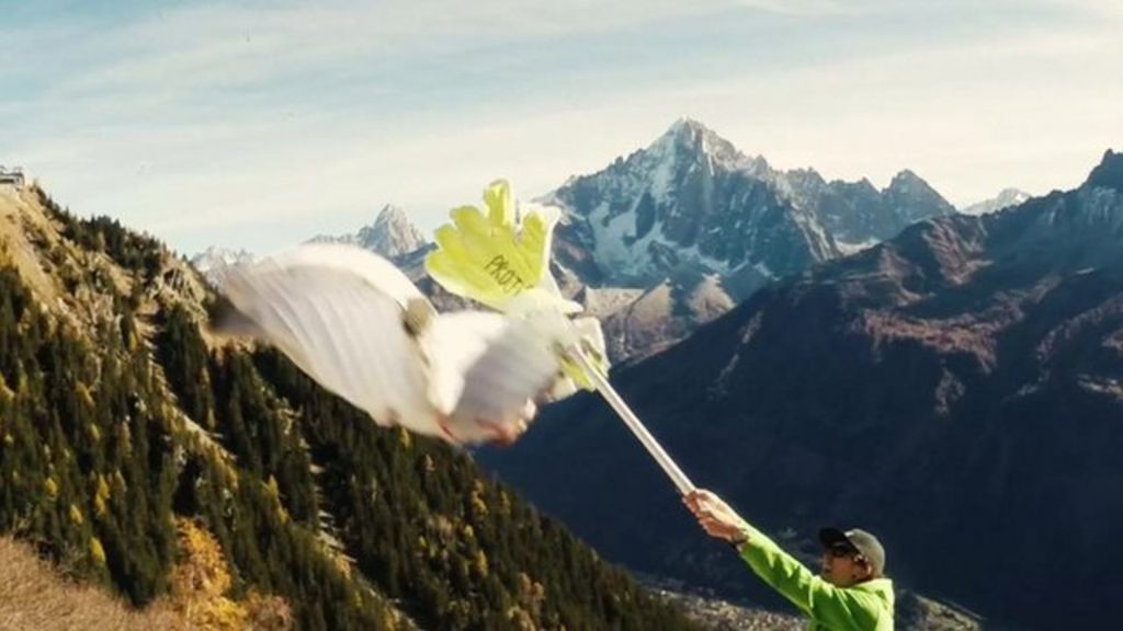 Air-to-ground 'high five' by wingsuit pilot - BBC News