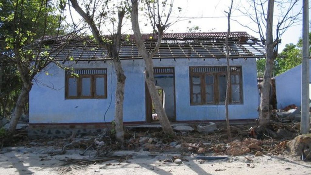 Tsunami: Survivors living with visible reminders - BBC News