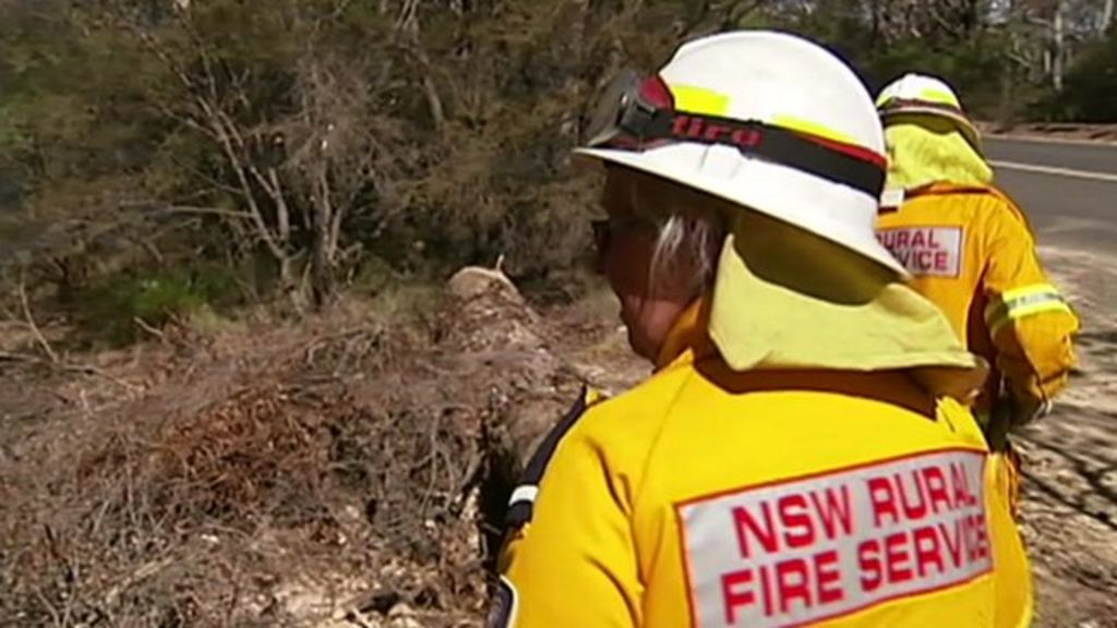 Australia bush fires: The women fighting flames - BBC News