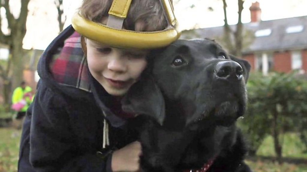 How an autistic child learned to say 'I love you' - BBC News