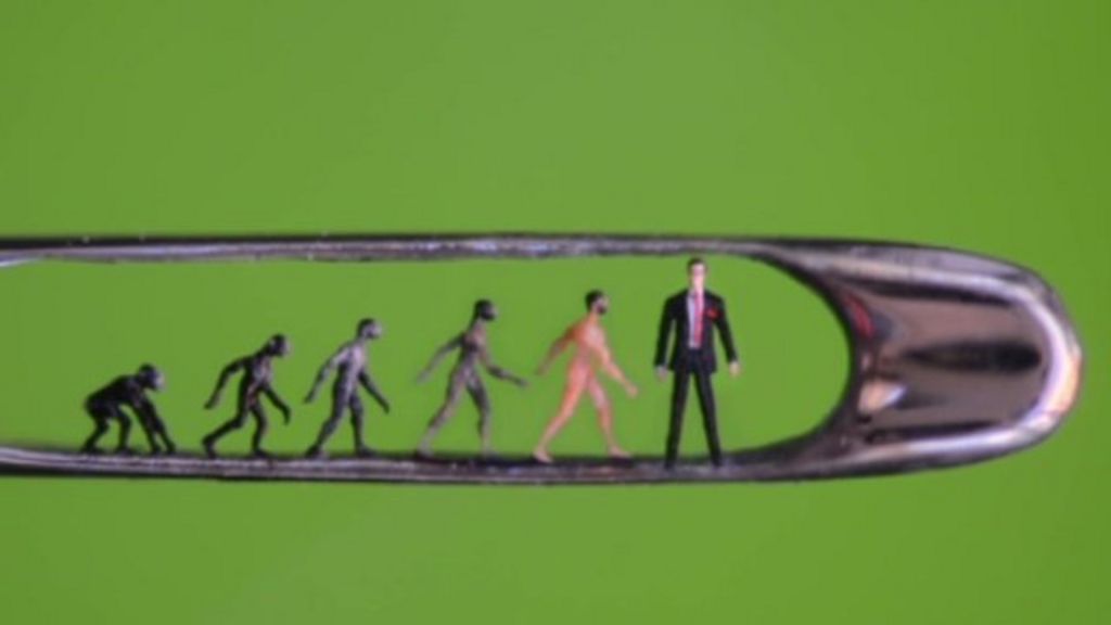 Willard Wigan micro-sculptures on show in Birmingham - BBC News