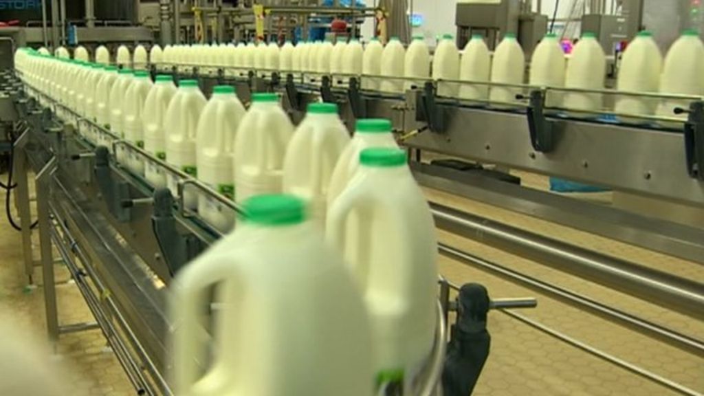 First Milk is 'not at risk from folding' company says - BBC News