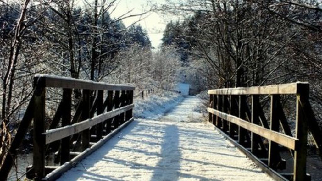 6-10 day forecast - BBC Weather