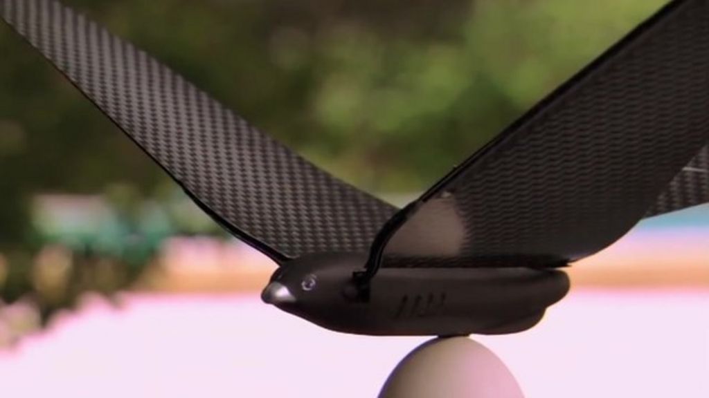 Bionic drone bird aims to take flight - BBC News