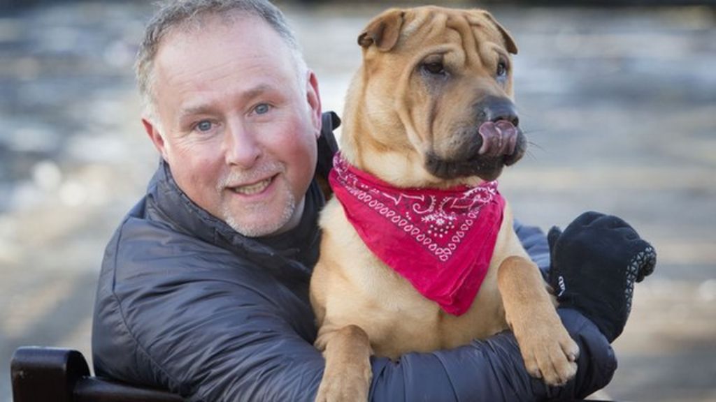 New owner for abandoned dog Kai - BBC Newsround