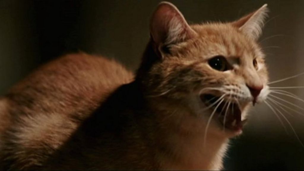 Serial killer meets comedy in The Voices - BBC News