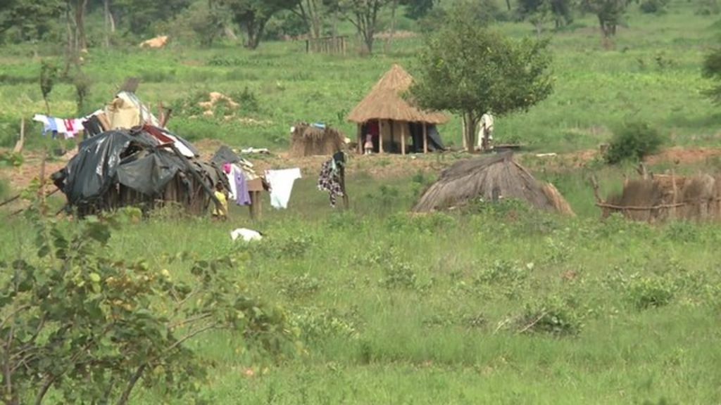 Zimbabweans forced to live side by side with wild animals - BBC News