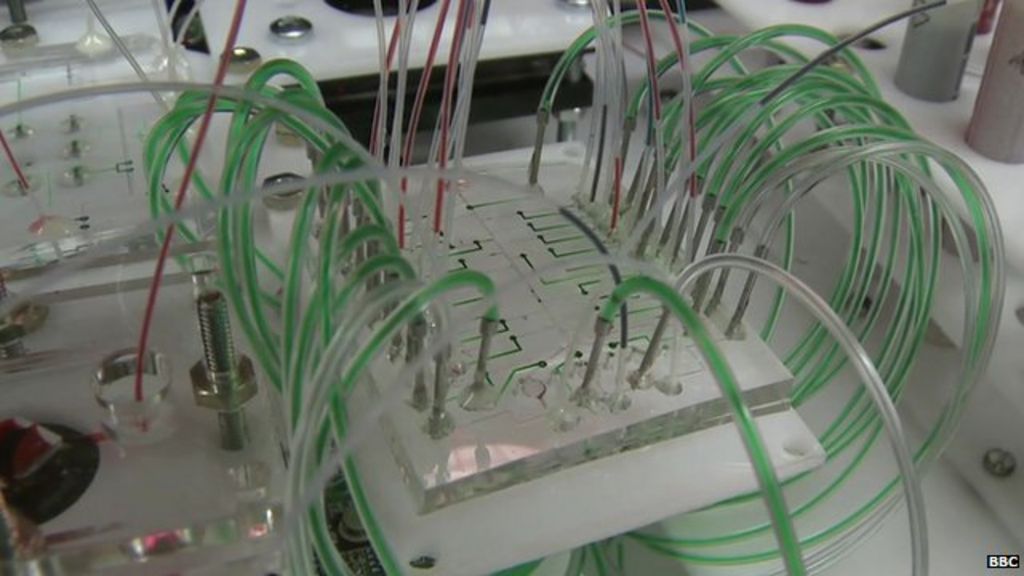 Creating organs on a chip - BBC News
