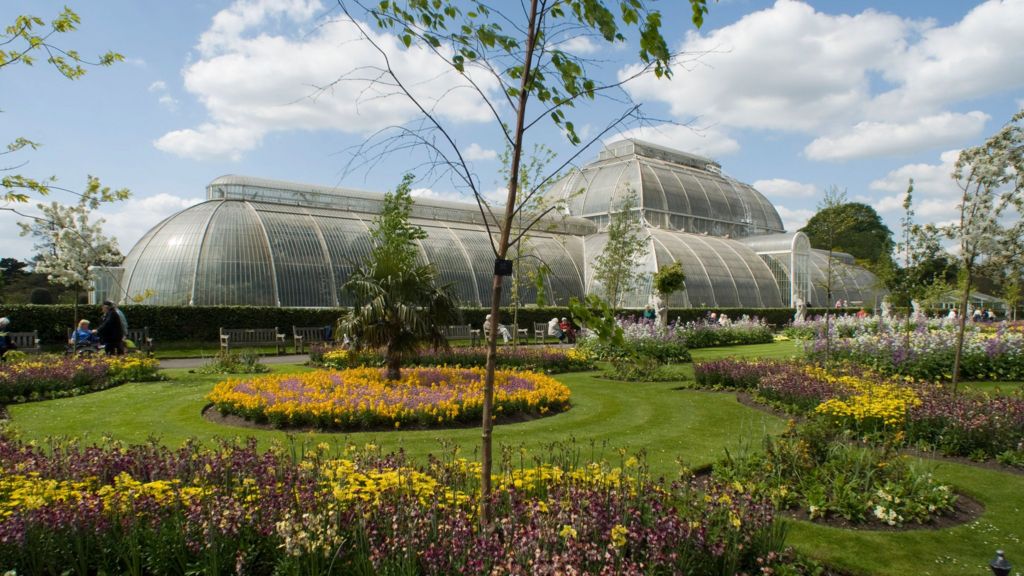 Kew Gardens unveils science strategy - BBC News