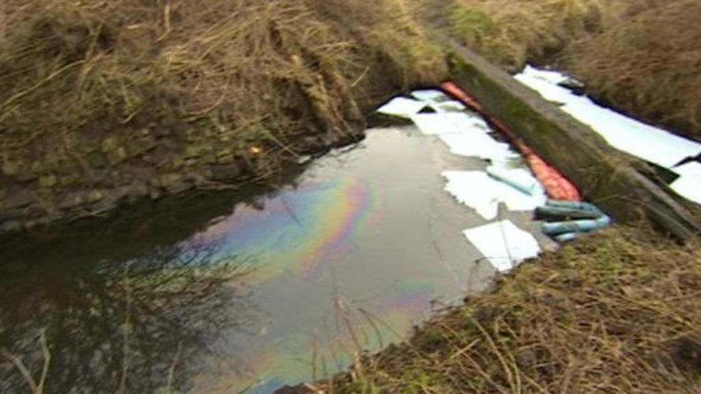 Erewash River oil spill clean-up starts - BBC News