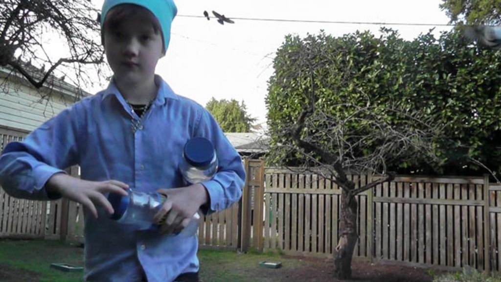 The crows who deliver presents - BBC News
