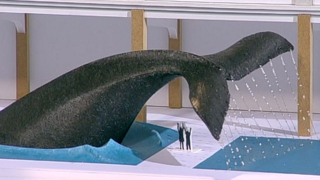 Bristol's life-size 'walk in' whale plan revised to just a head and ...