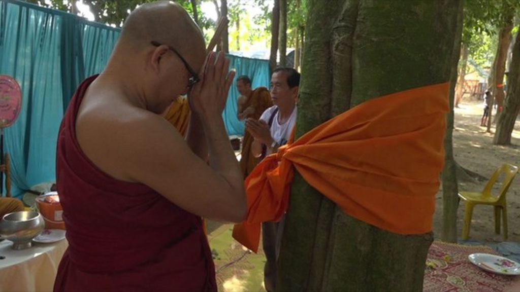 Buddhist monk ordains trees to help the environment - BBC News
